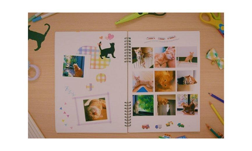 Canon, SELPHY PRINTER QX10, Pink - eXtra Saudi