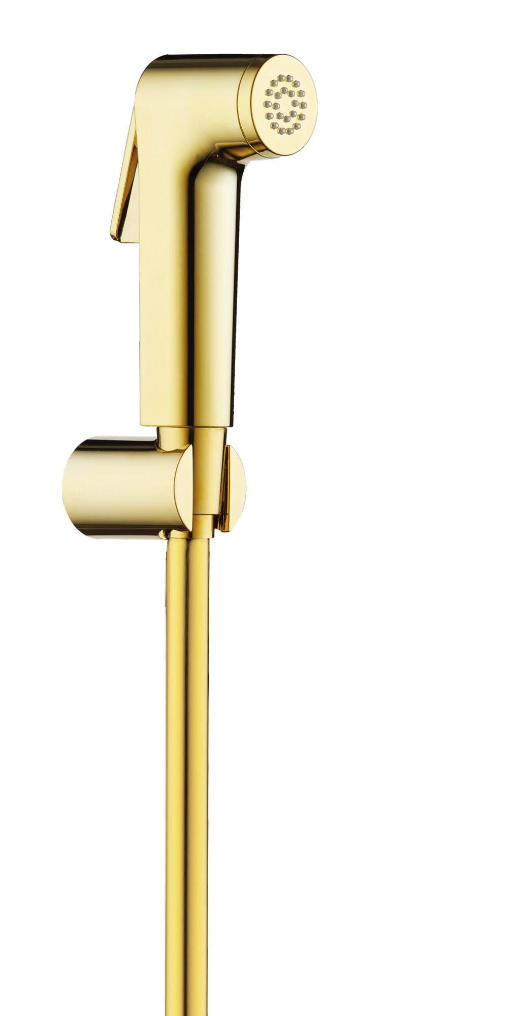 HESANIT Logic Shattaf Sprayer Set with Pipe and Wall Bracket Gold - eXtra