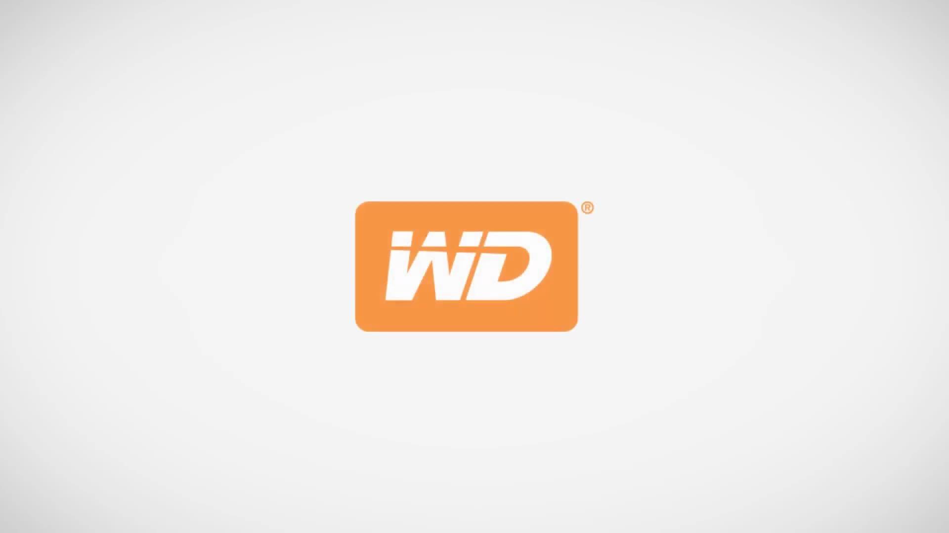 Western Digital Icon